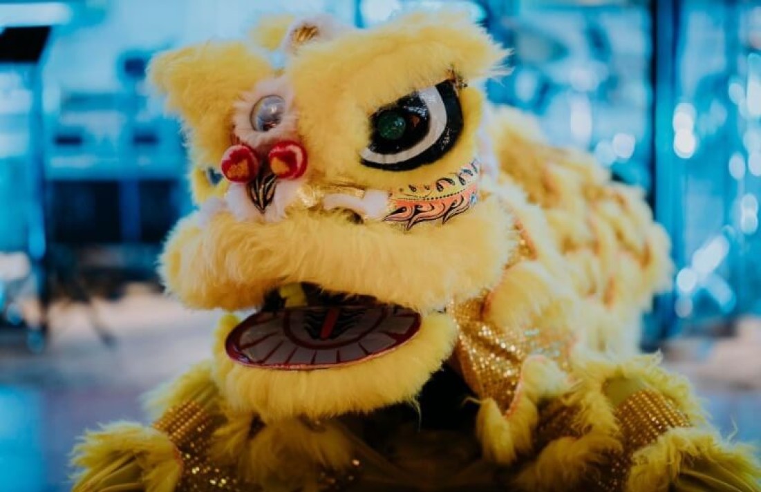 Chinese Lion Dancers | Authentic, Traditional Costumed Dancers ...